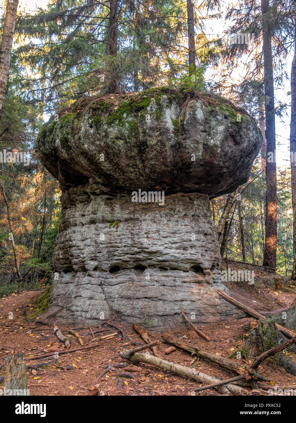 Unique rock in poland hi-res stock photography and images - Alamy