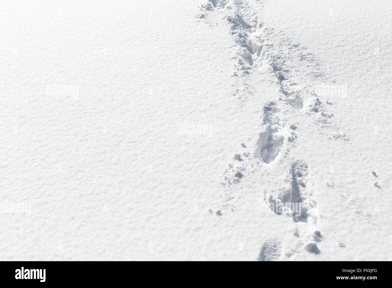snow background with foot track, texture Stock Photo - Alamy