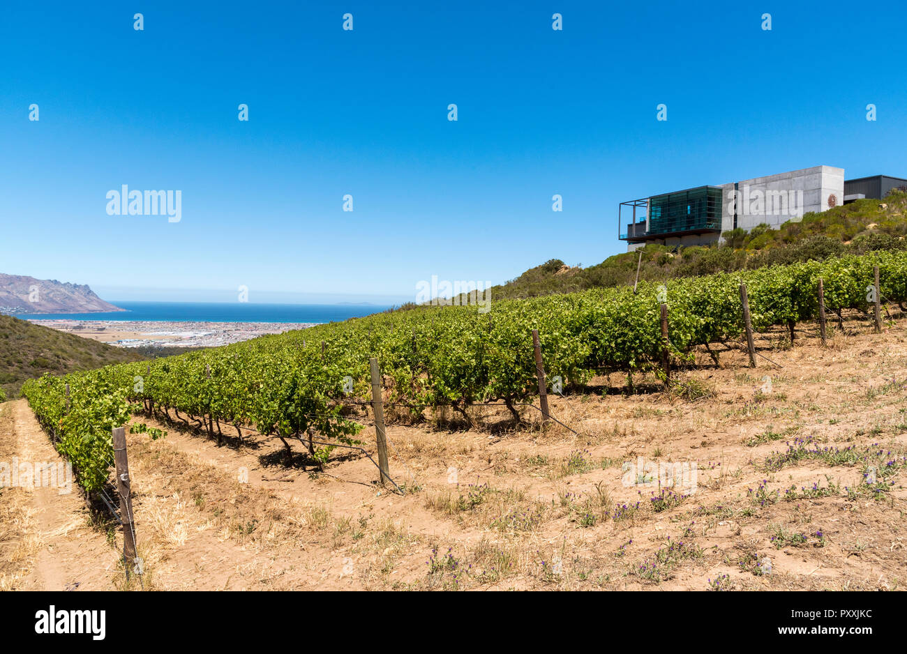 Waterkloof winery hi-res stock photography and images - Alamy