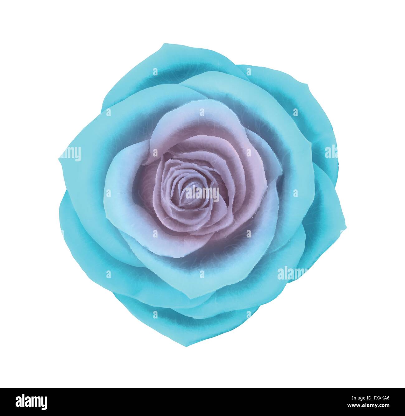Vector beautiful blue rose floral decorative element Stock Vector Image ...