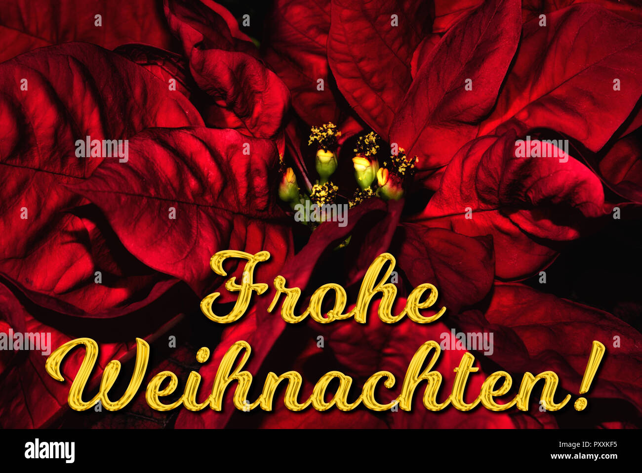 German greetings hi-res stock photography and images - Alamy