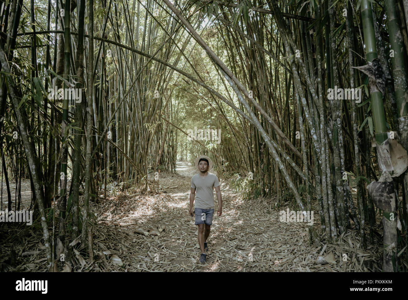 man enjoy his summer vacation in tropical island Stock Photo - Alamy