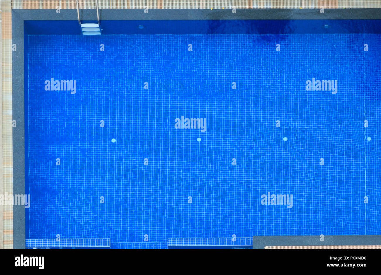 Top view of hotel’s blue tiled swimming pool background. Outdoor Sport ...