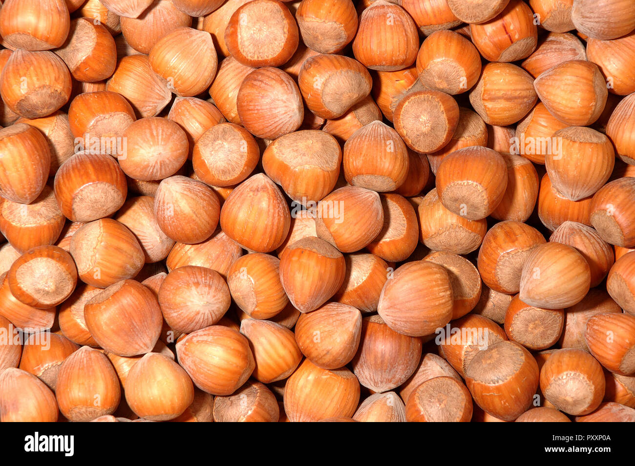 Natural texture, a mix of hazelnuts Stock Photo - Alamy