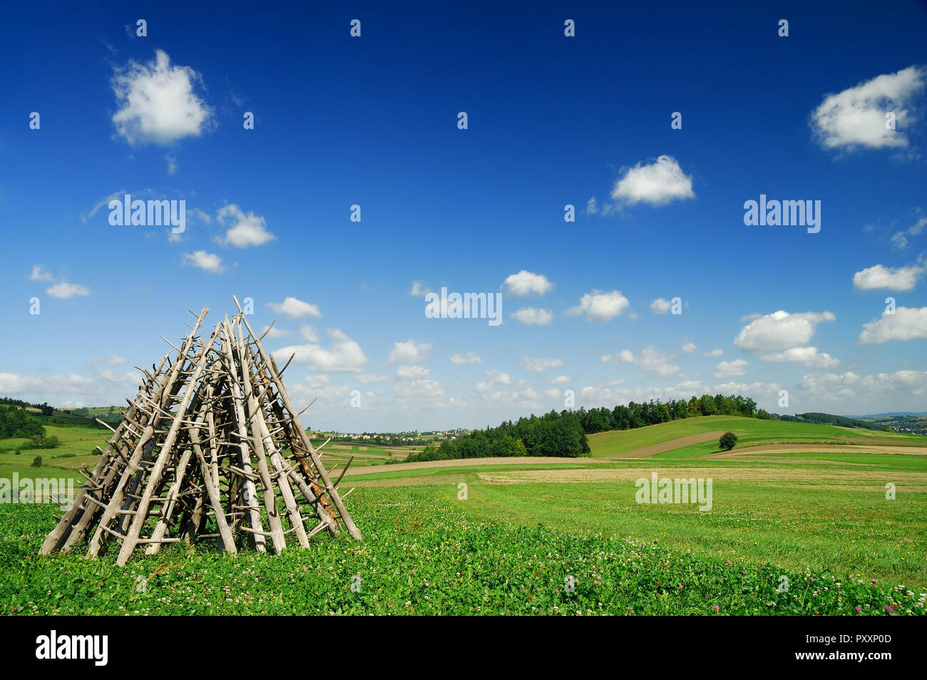 Landscape, view of green rolling fields, blue sky and white clouds in ...