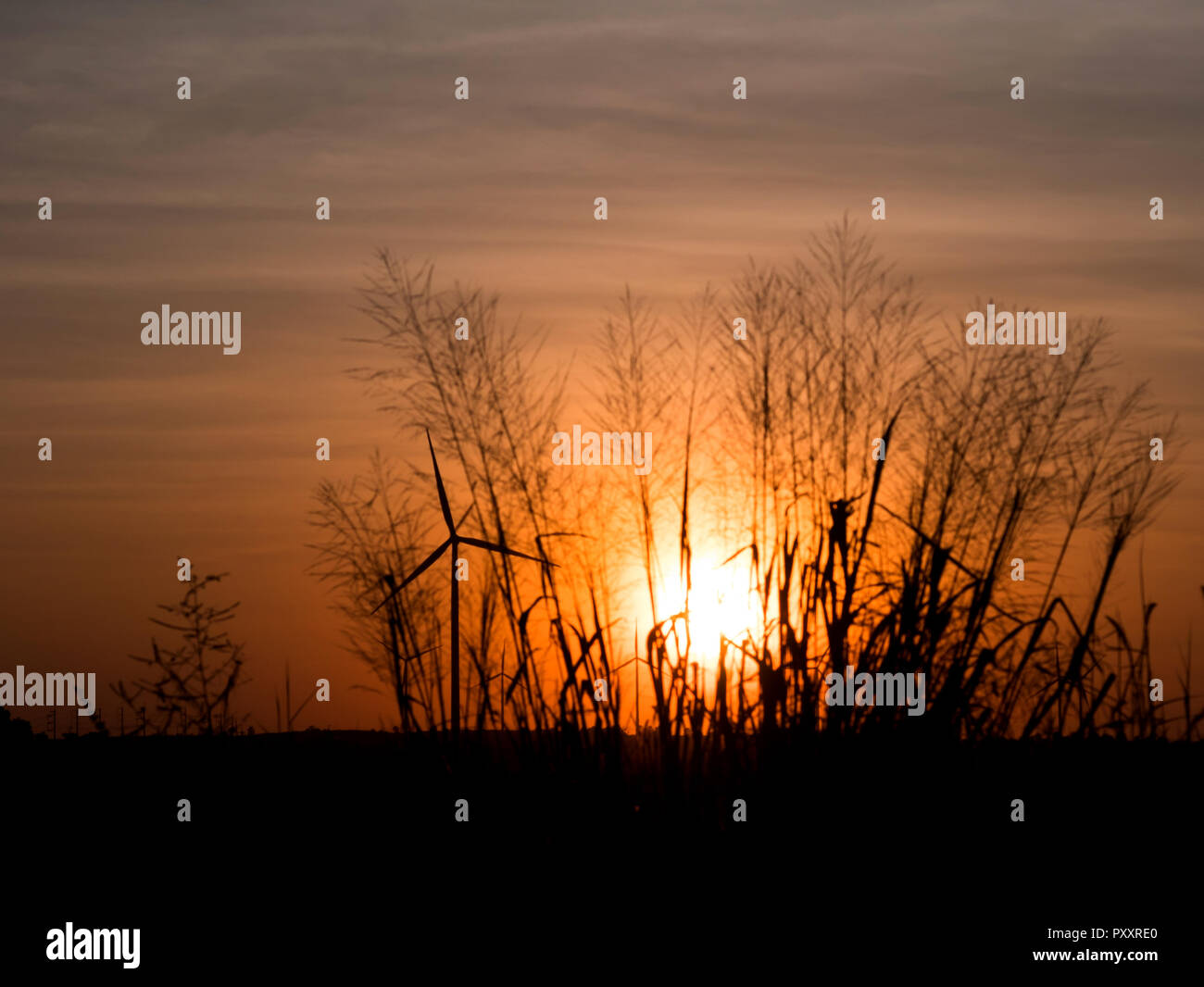 Silhouette wind turbine and grass field with sunset in the grass Stock ...
