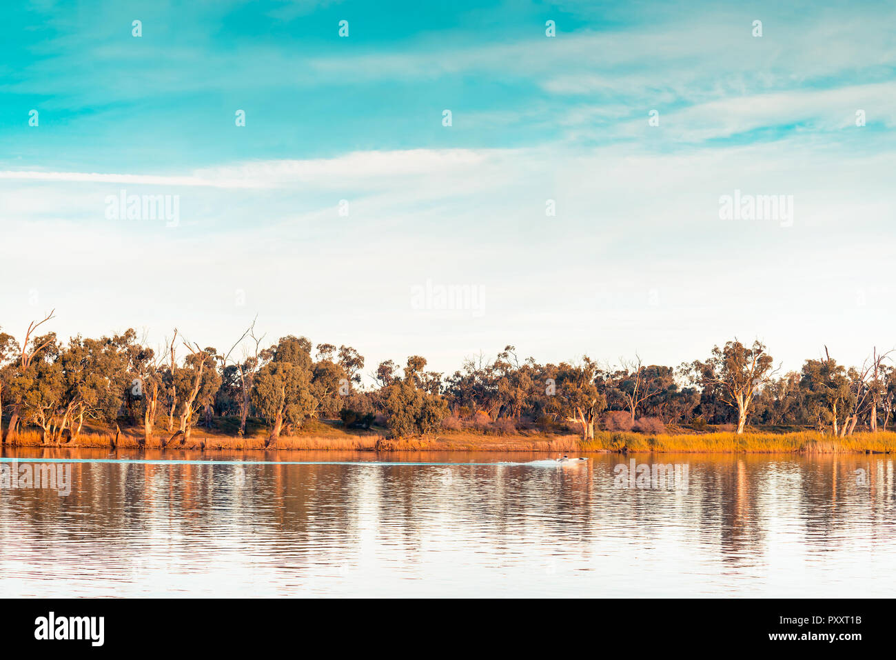 Australia south australia murray river hi-res stock photography and ...