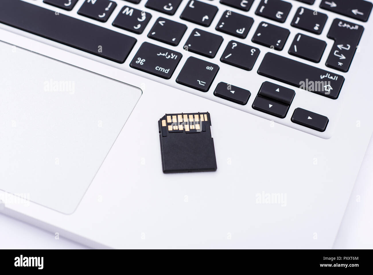 Sd memory card hand hi-res stock photography and images - Alamy