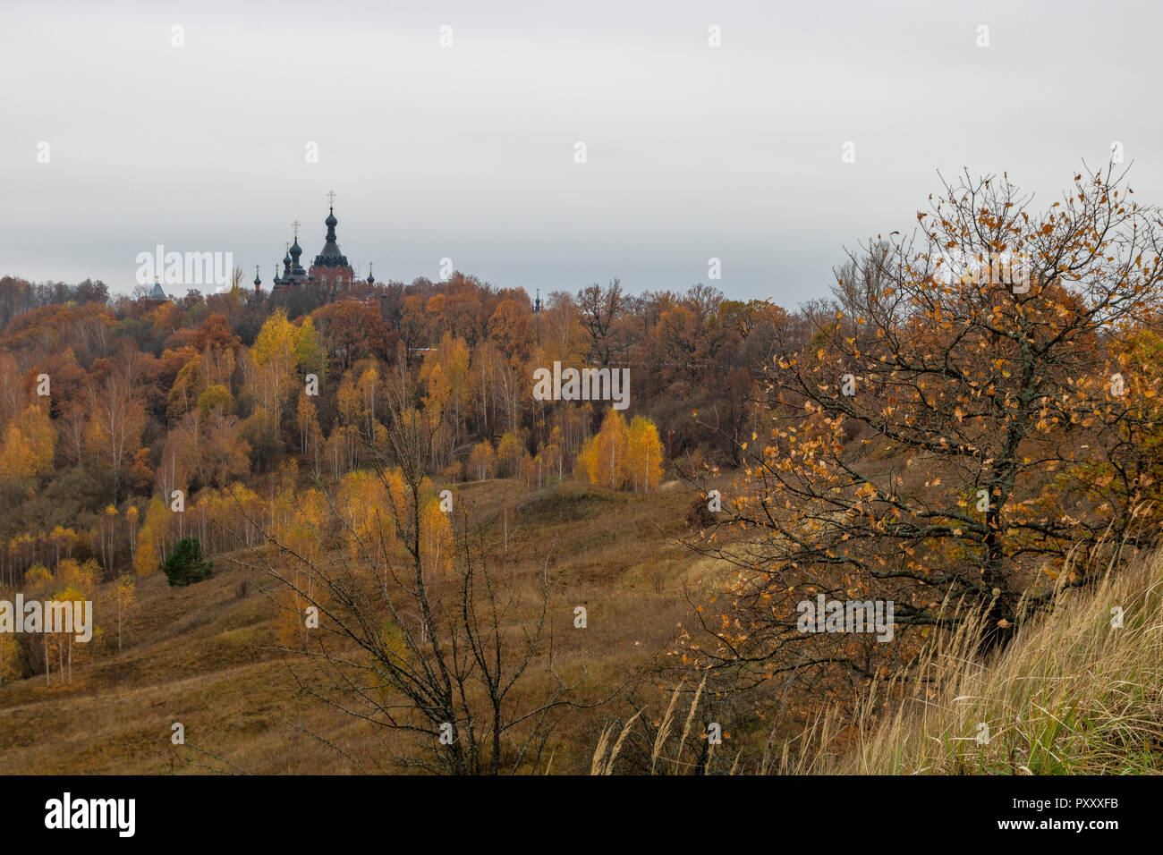 View of the convent of Shamordino. Kaluga region Stock Photo - Alamy