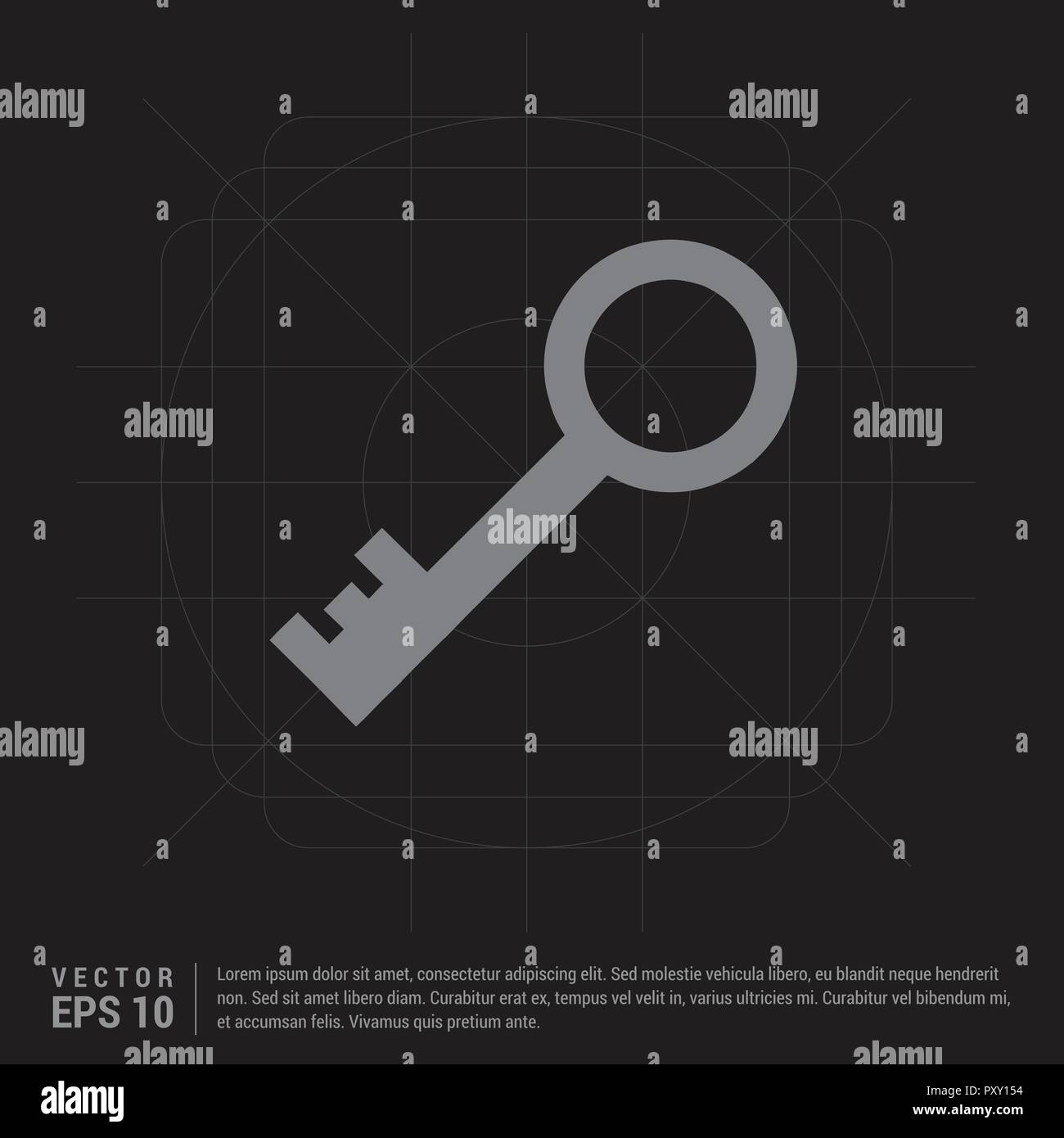 House key icon Stock Vector Image & Art - Alamy
