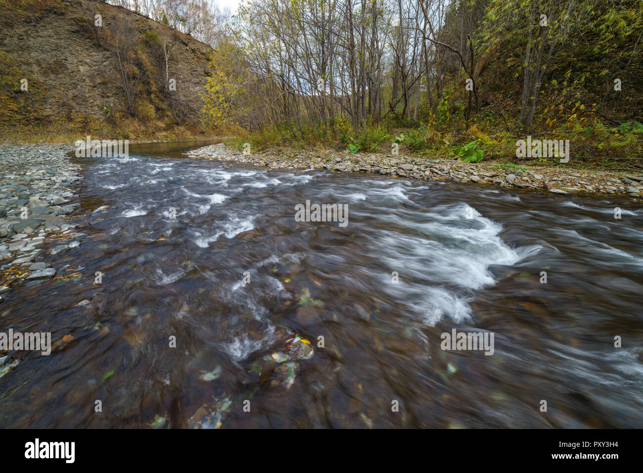 Sakhalin River Landscape High Resolution Stock Photography and Images ...