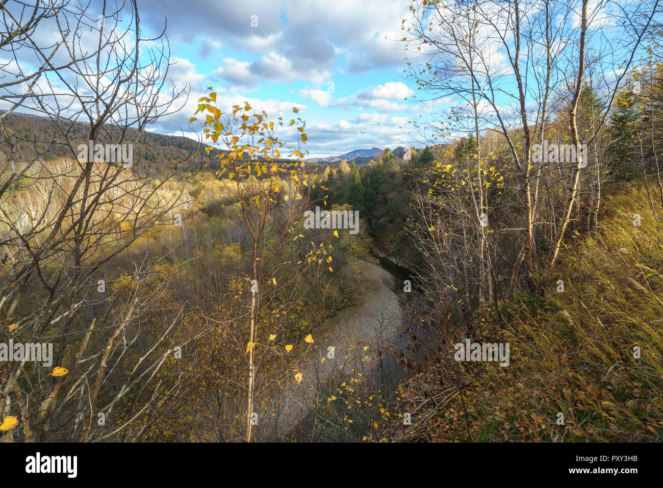 Sakhalin River Landscape High Resolution Stock Photography and Images ...