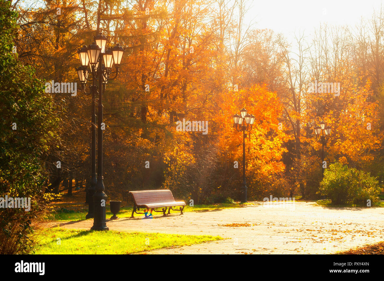 Autumn October landscape. Bench at the autumn park under colorful ...