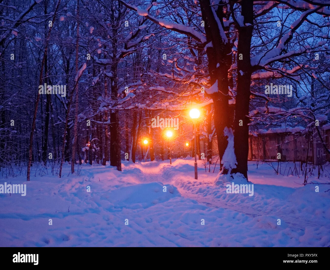 street light at night in winter, Moscow Stock Photo - Alamy