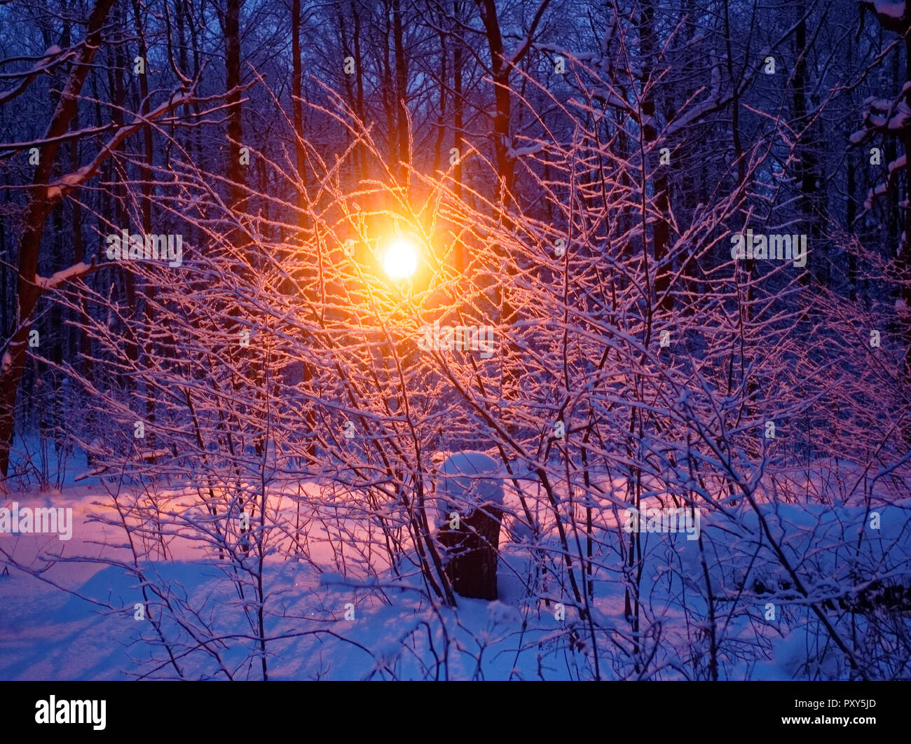 street light at night in winter, Moscow Stock Photo - Alamy