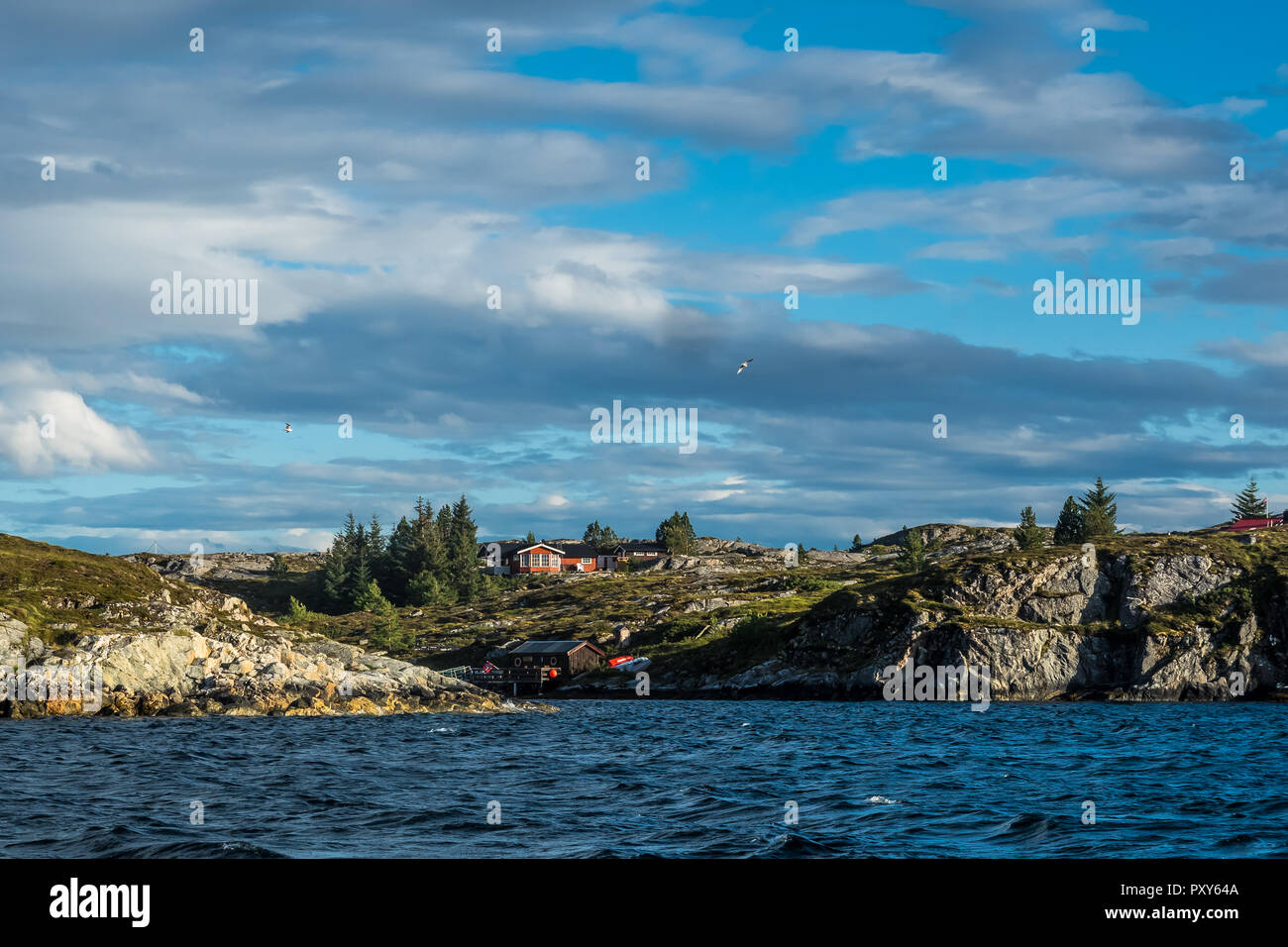 Sea fishing in Norway. Hitra August 2018 Stock Photo - Alamy