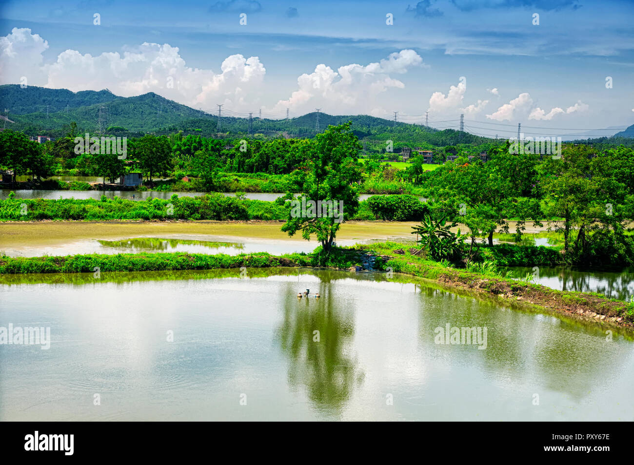 A landscape of water and mountains of Kaiping Diaolou in Zili village ...
