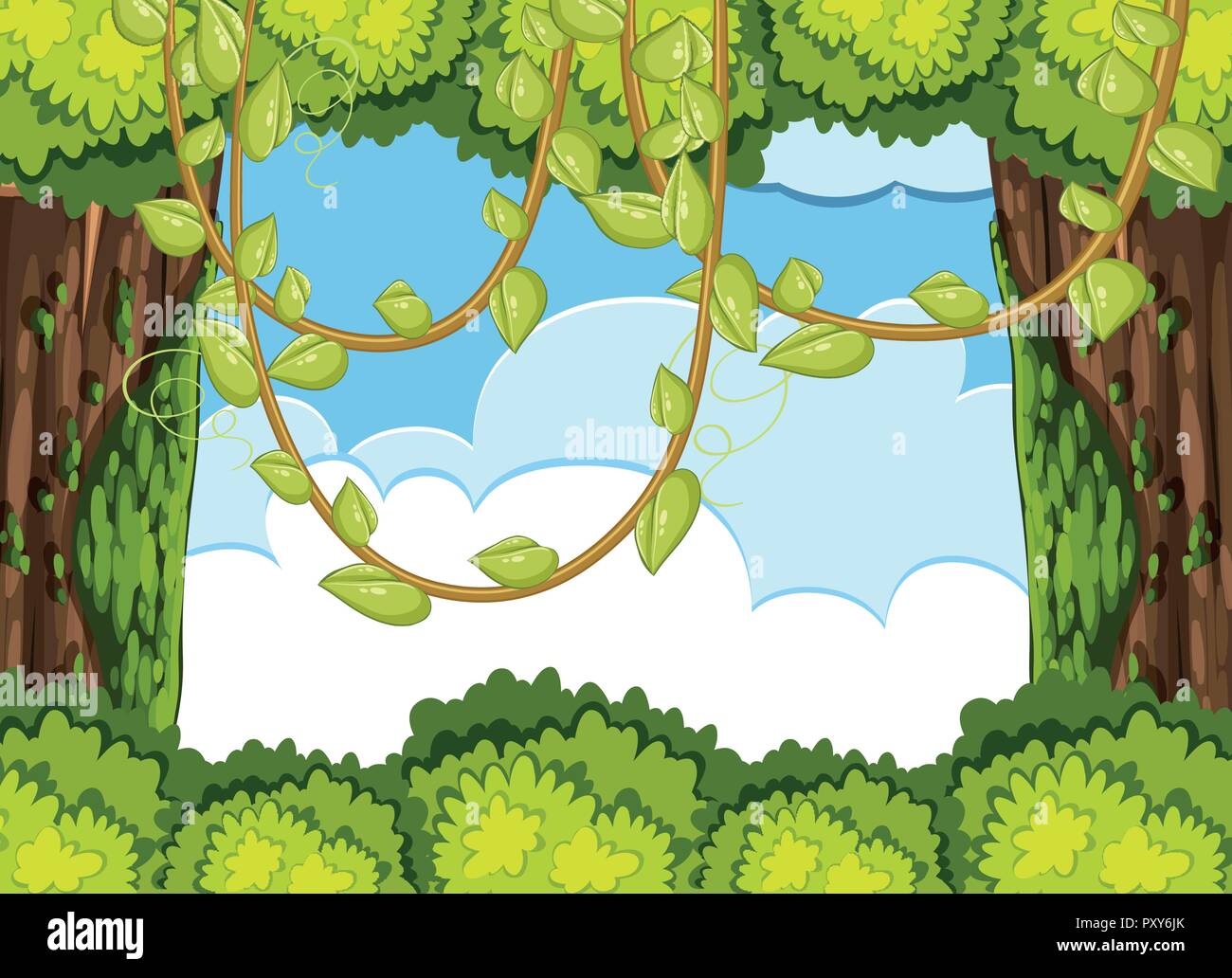 Tropical Vine Stock Vector Images - Alamy