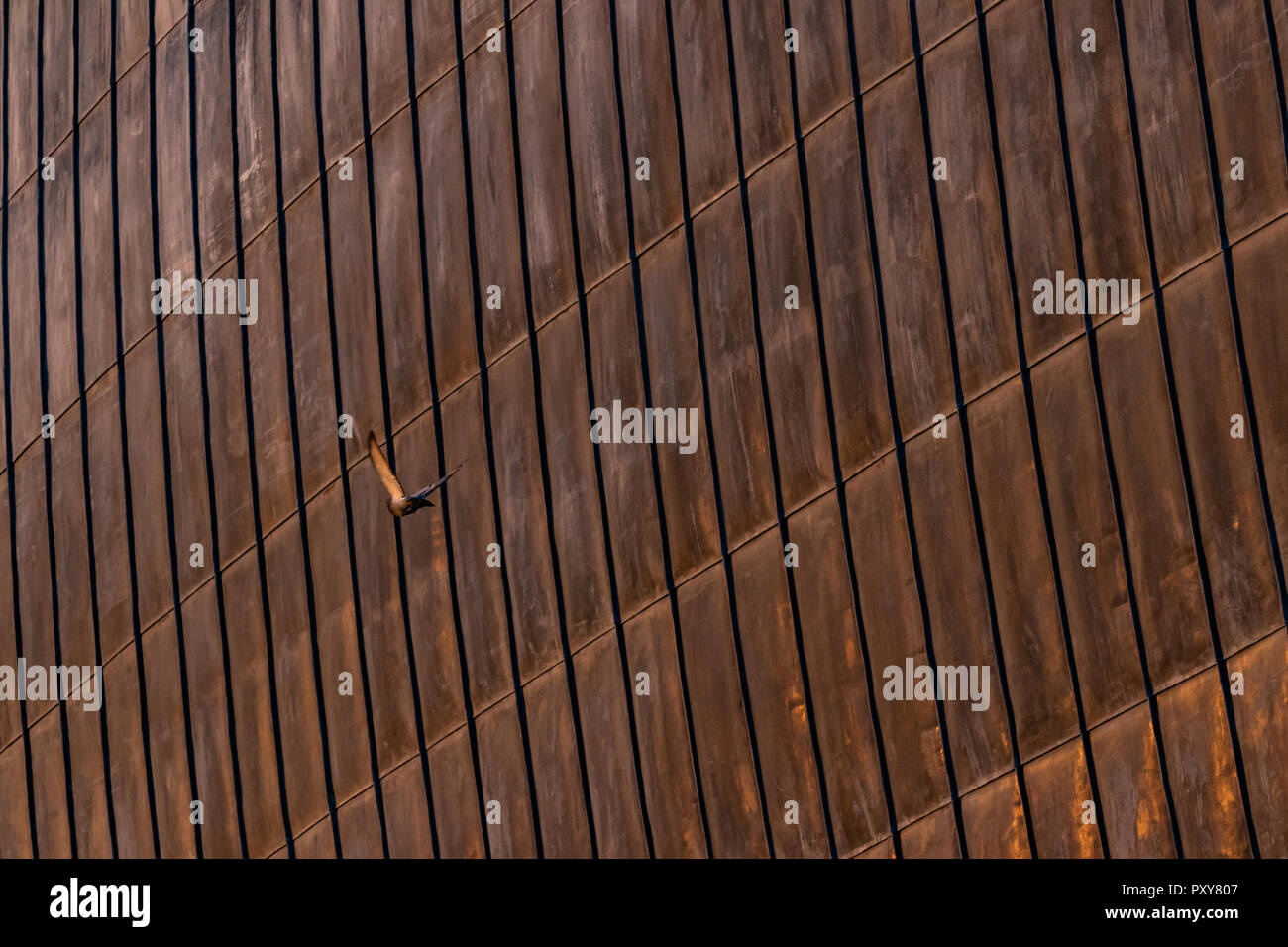 Details of rusty steel structural sheets, used for external roofing ...
