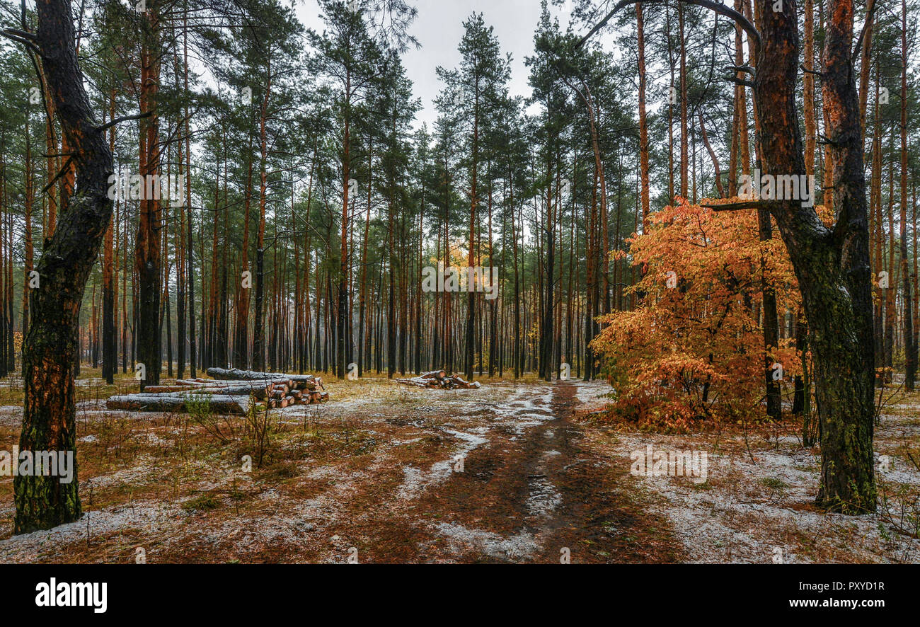 Autumn colors and snow hi-res stock photography and images - Alamy
