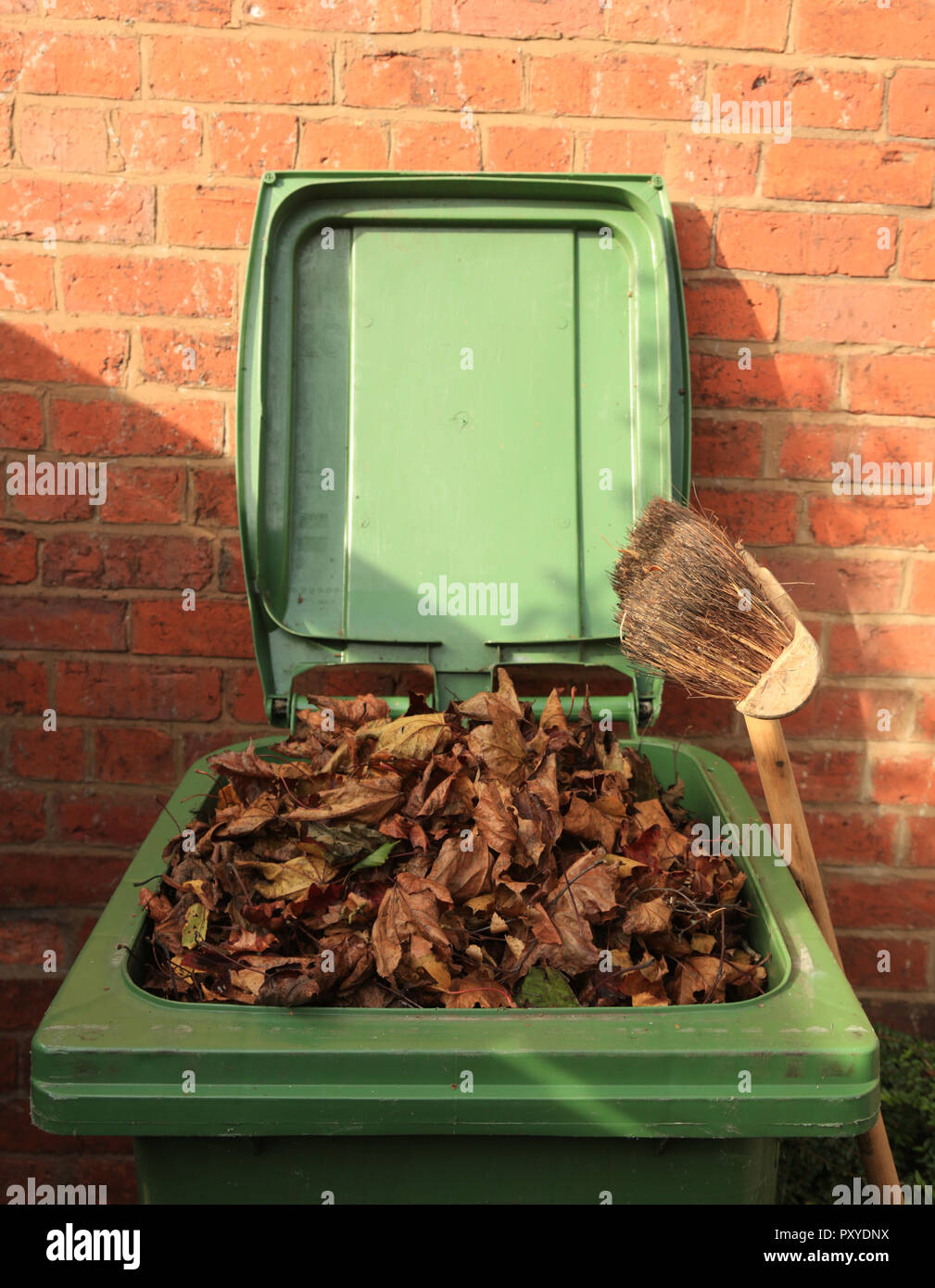 Green recycling bin hi-res stock photography and images - Alamy