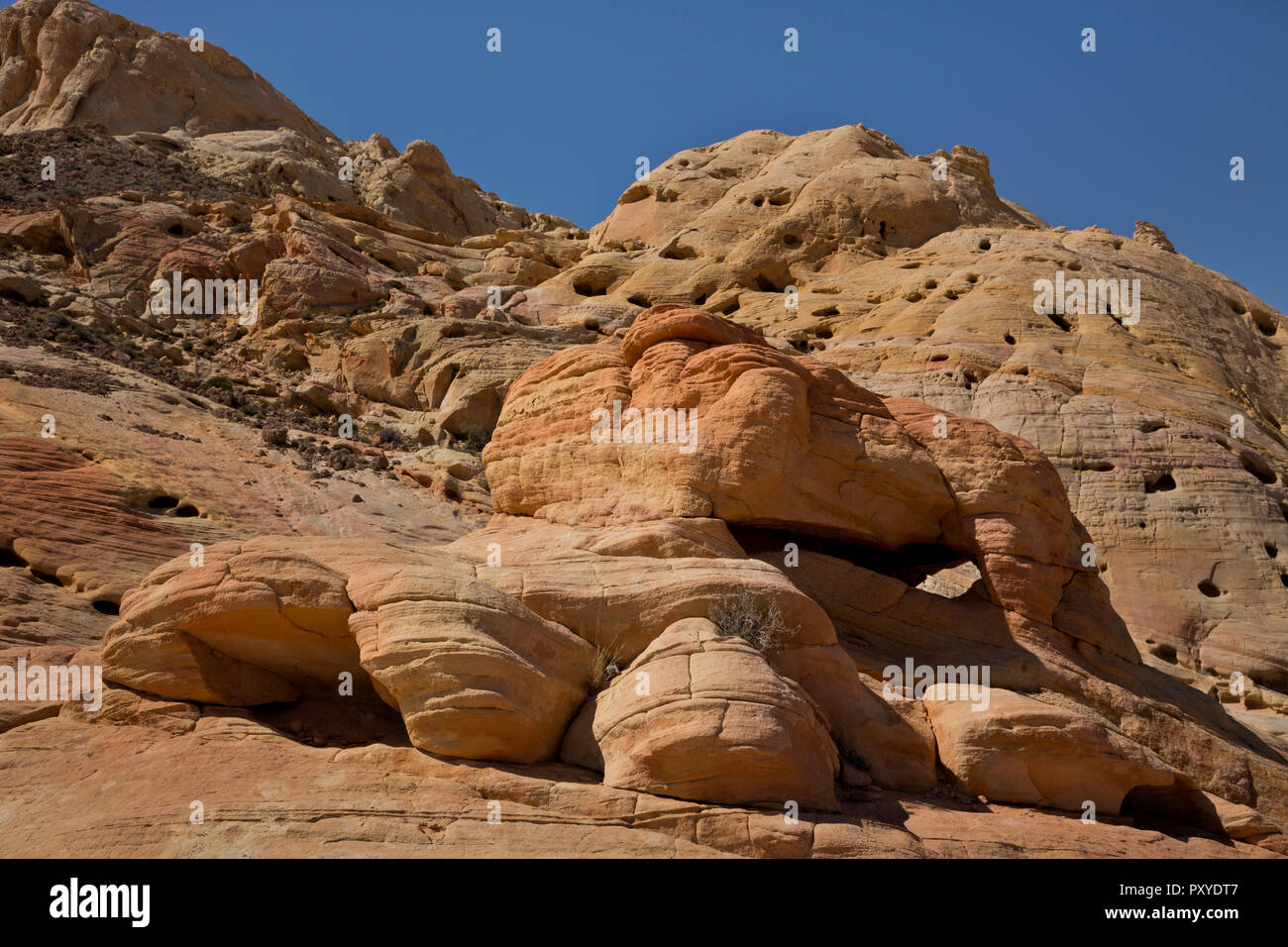 NV00014-00...NEVADA - Multicolored sandstone in the Fire Canyon area of ...