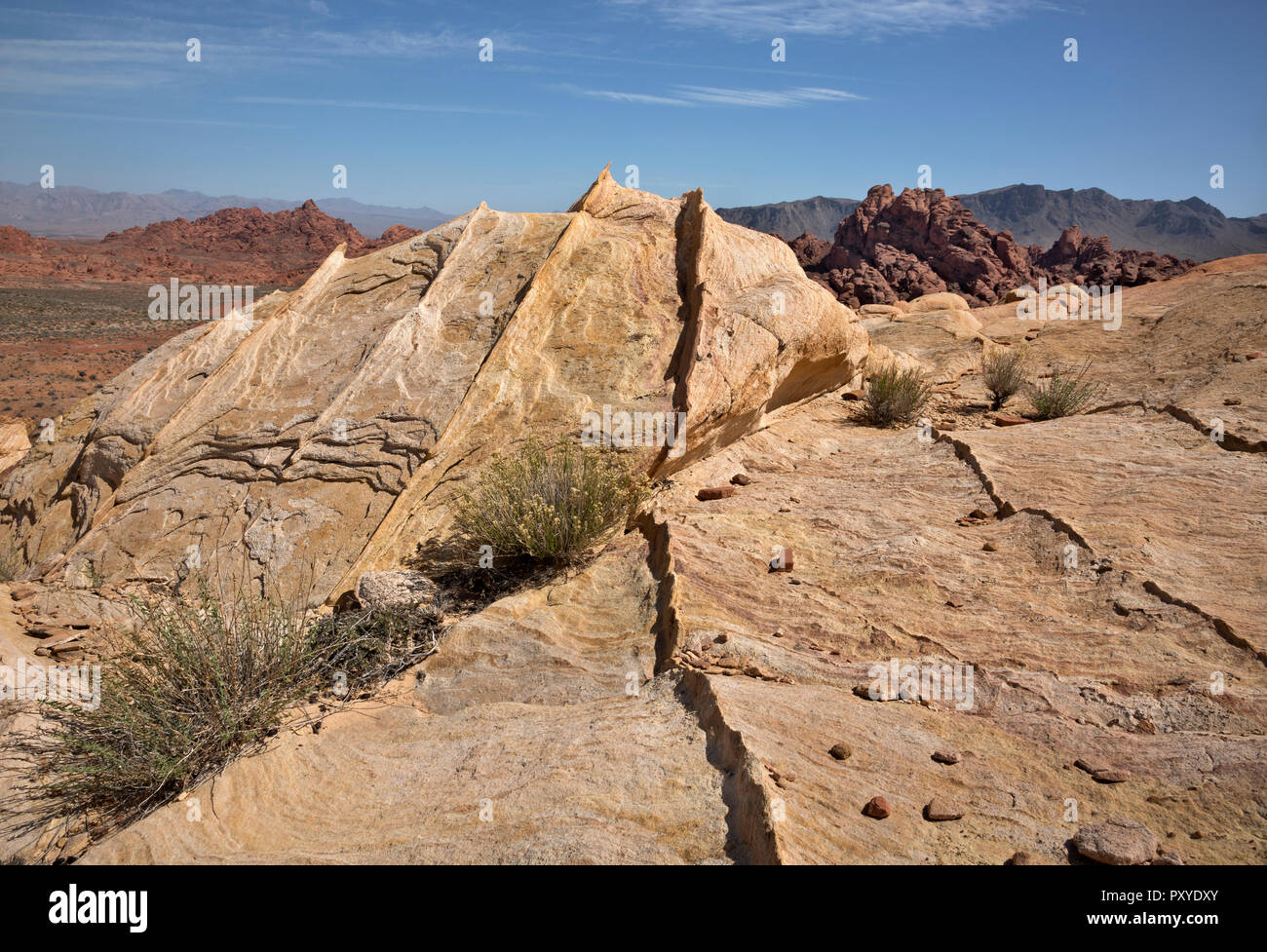 NV00016-00...NEVADA - Multicolored sandstone with compaction bands ...