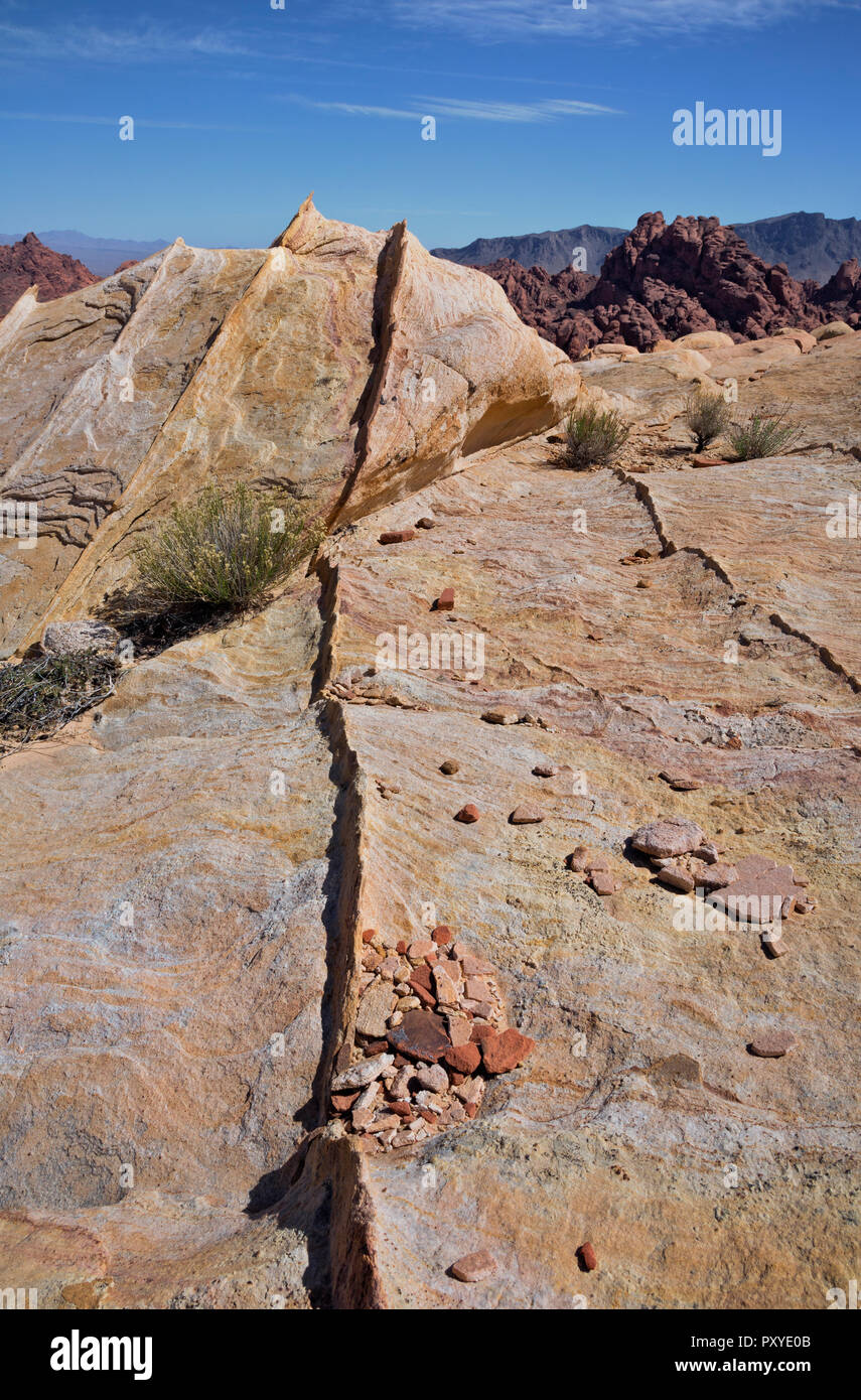 NV00017-00...NEVADA - Multicolored sandstone with compaction bands ...