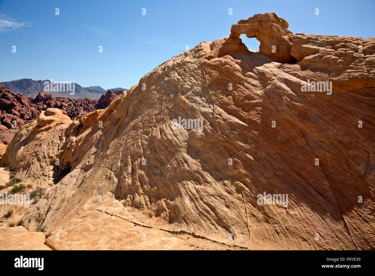 NV00019-00...NEVADA - A sandstone rib with an arch on the top in the ...