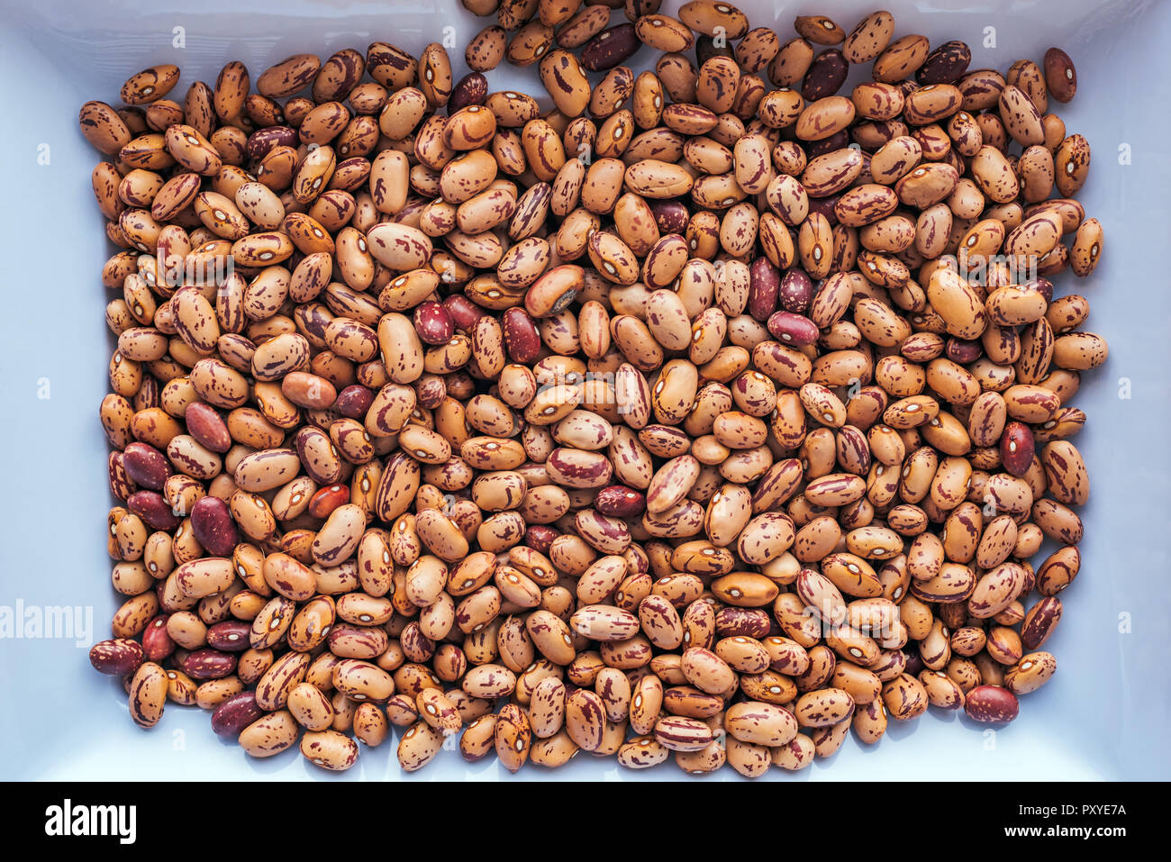 Pinto bean from above, top view of healthy legume beans as background ...