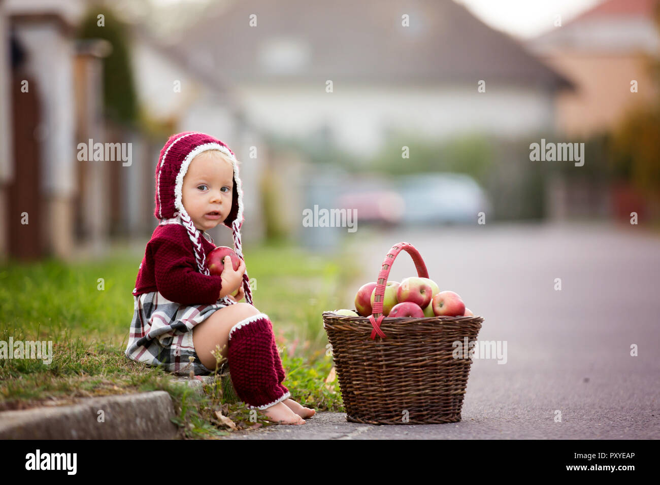 Child eating apples in a village in autumn. Little baby boy playing ...