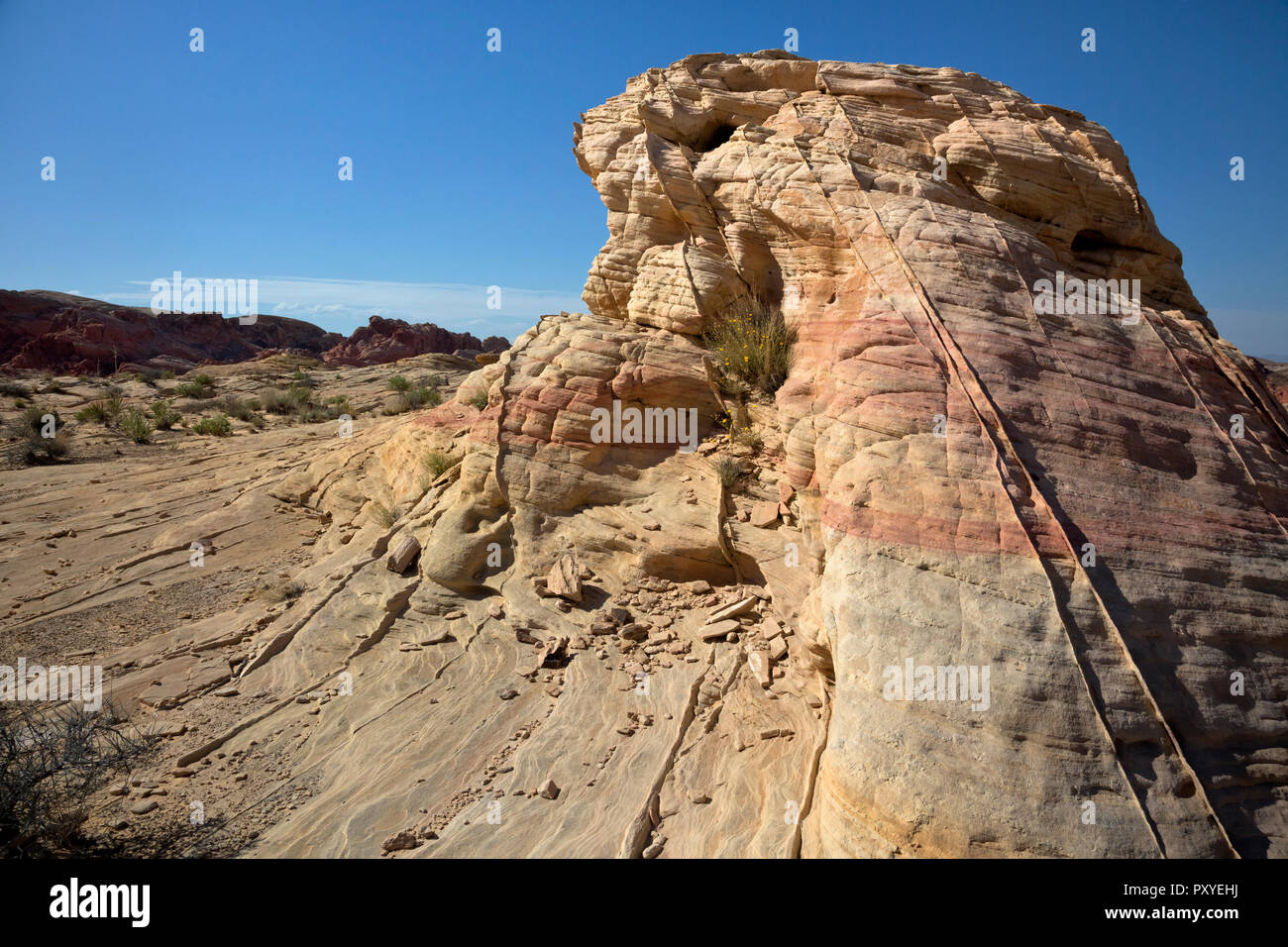 NEVADA - Compaction bands running through the colorful layered ...