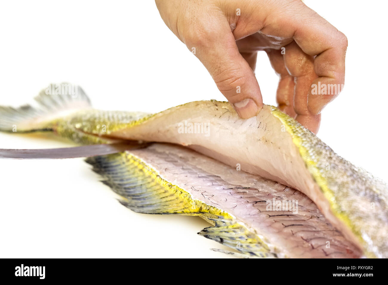 A chef filleting a zander with a knife on white background Stock Photo ...