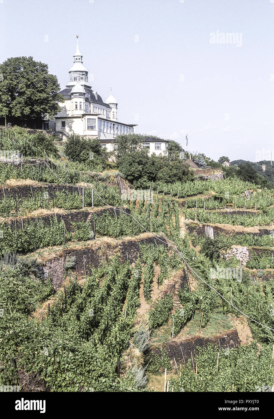 Radebeul, Spitzhaus, Weinberge, Sachsen, Deutschland Stock Photo - Alamy