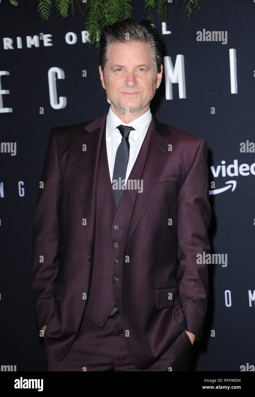 Los Angeles, CA, USA. 24th Oct, 2018. Shea Whigham at arrivals for ...