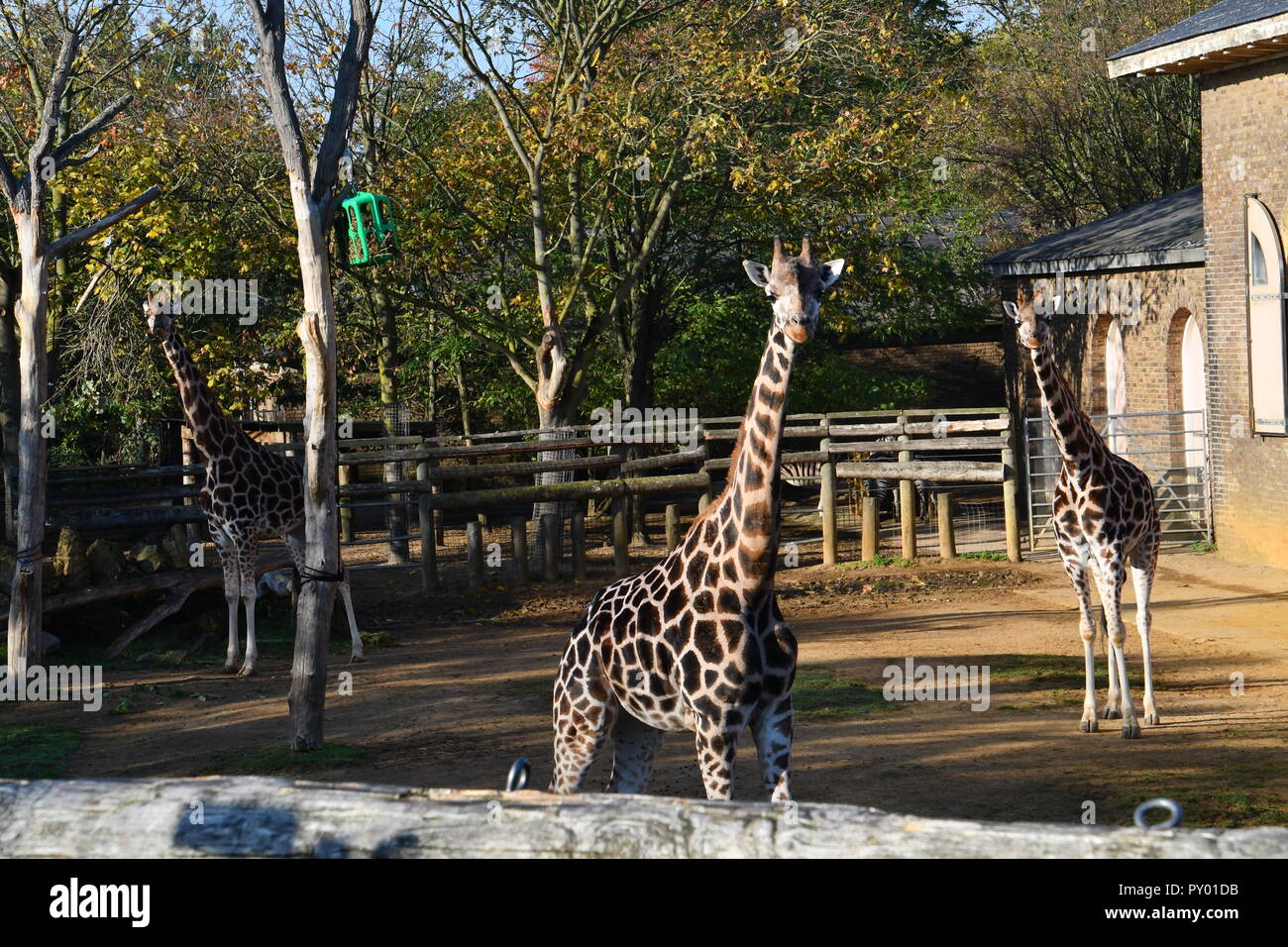 Dan simmonds hi-res stock photography and images - Alamy