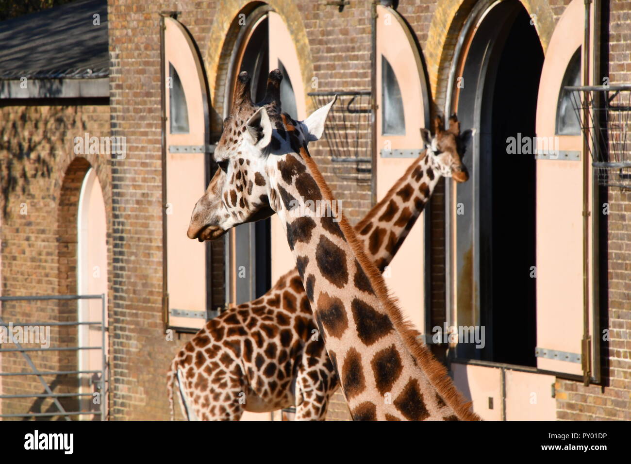 Dan simmonds hi-res stock photography and images - Alamy