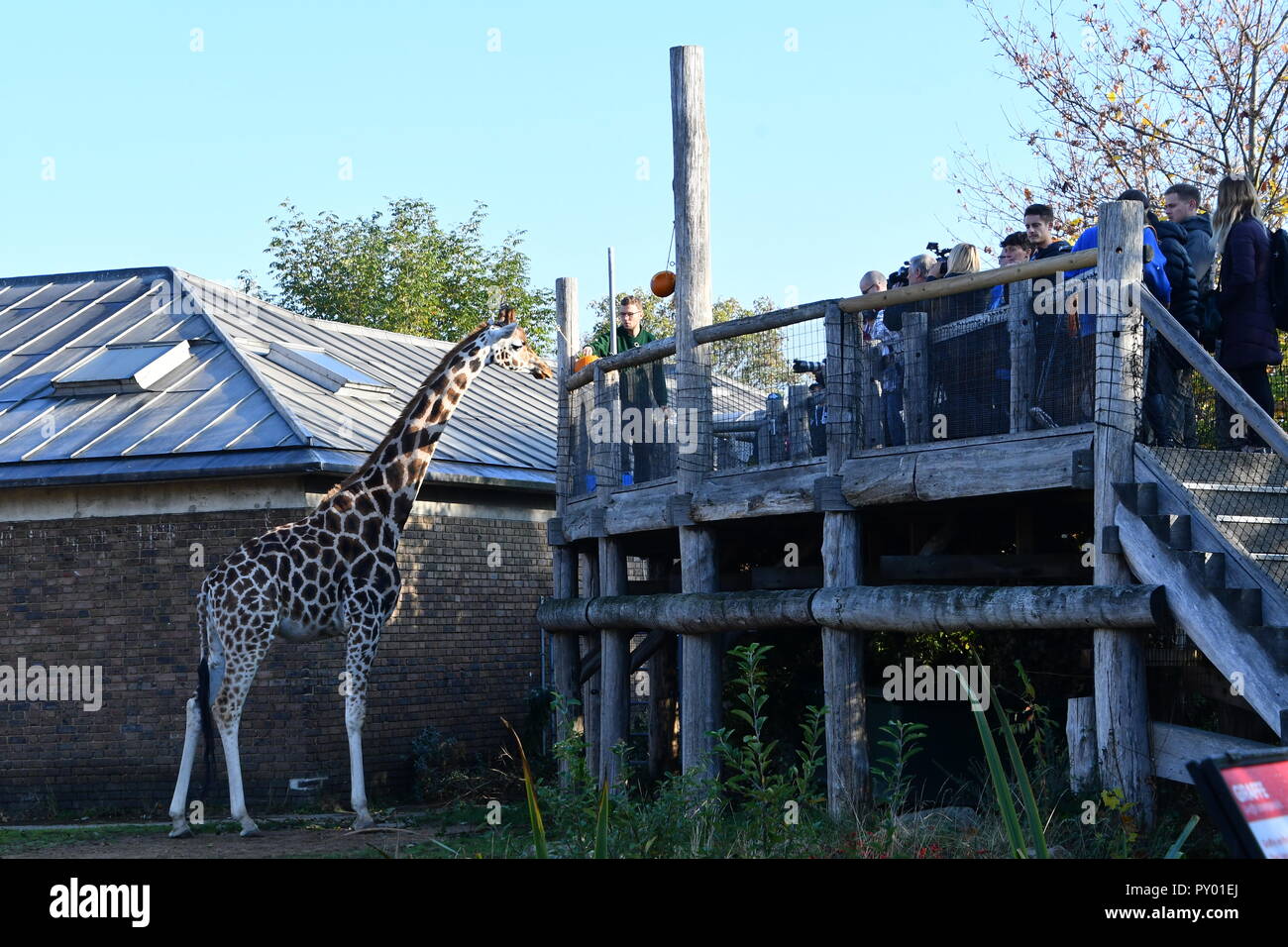 Dan simmonds hi-res stock photography and images - Alamy