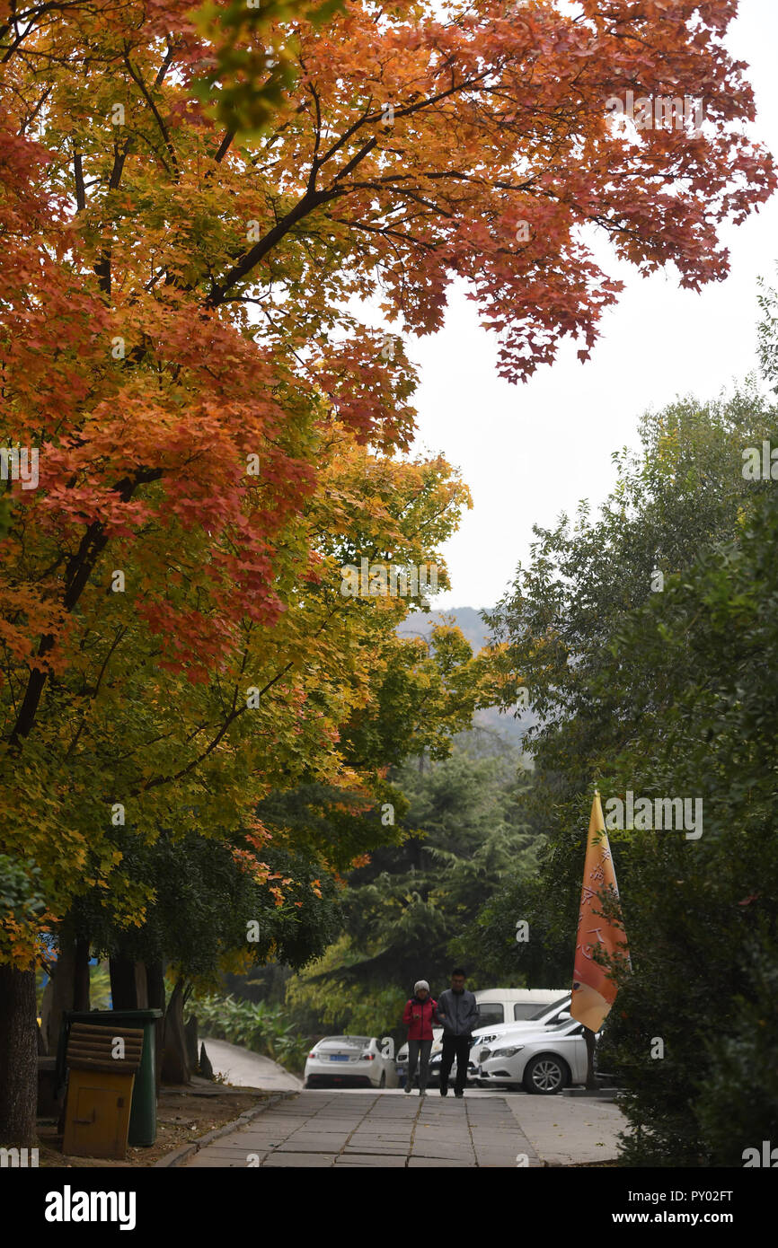 Beijing, China. 25th Oct, 2018. Tourists visit Badachu Park in Beijing ...