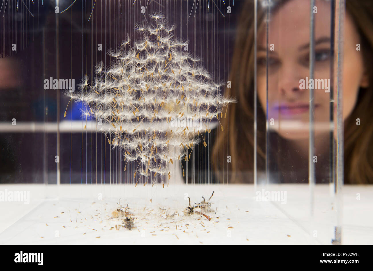 Perspex box art hi-res stock photography and images - Alamy