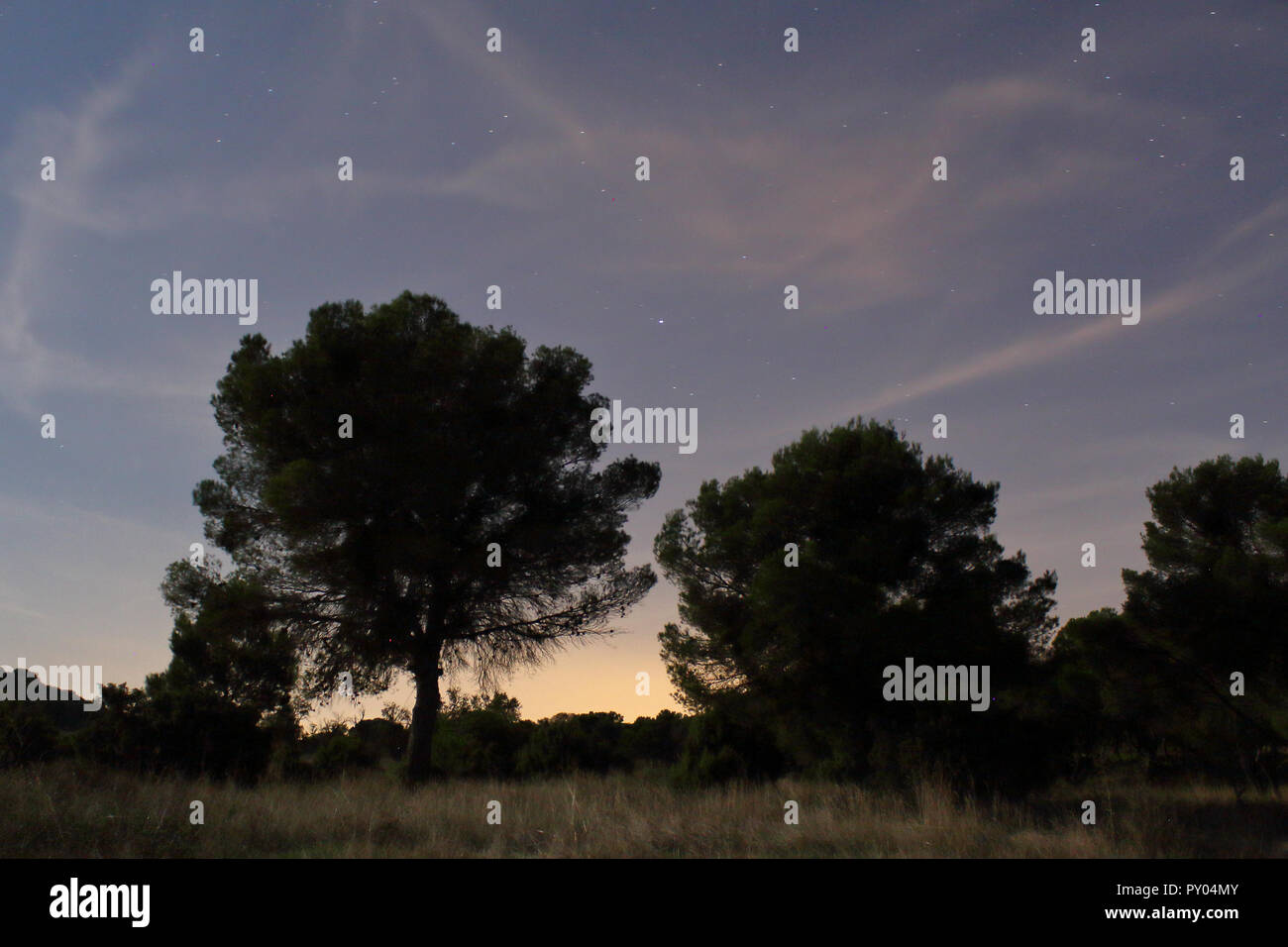 Moonlight night sky stars city hi-res stock photography and images - Alamy