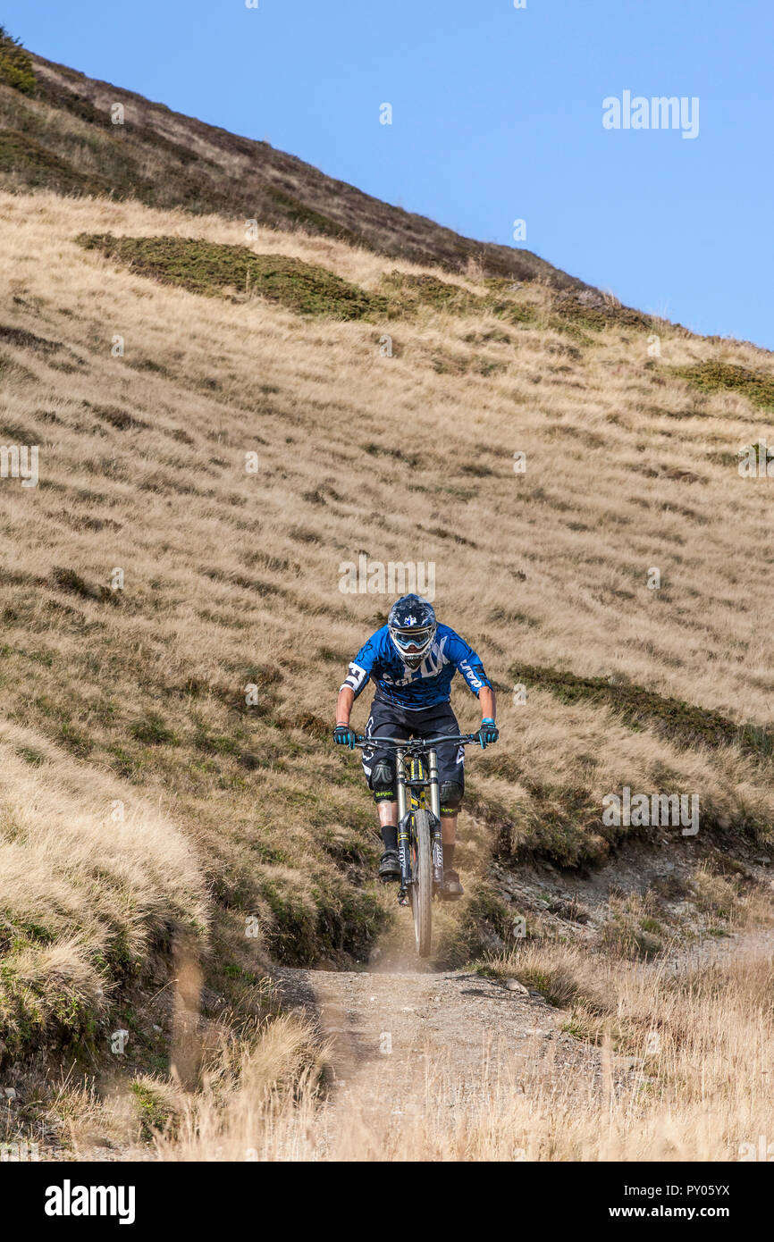Landscape with downhill biker cruising down single track among grass at ...