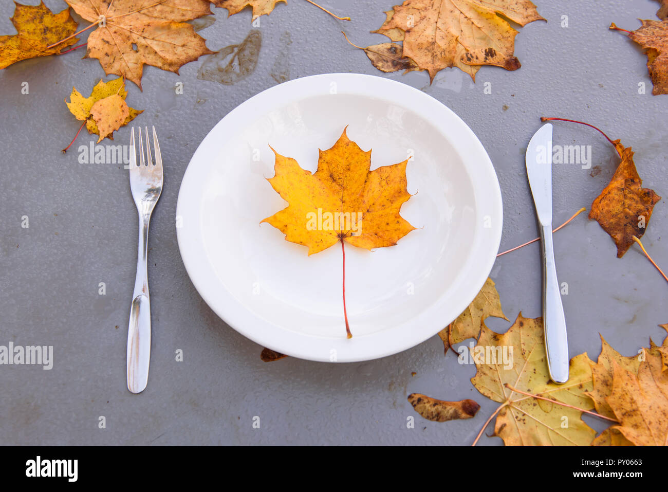 Colorful maple leaf as a food on white plate Stock Photo - Alamy