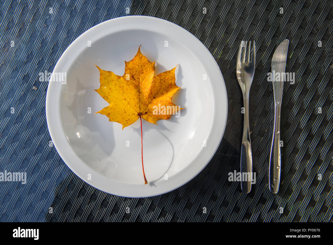 Colorful maple leaf as a food on white plate Stock Photo - Alamy