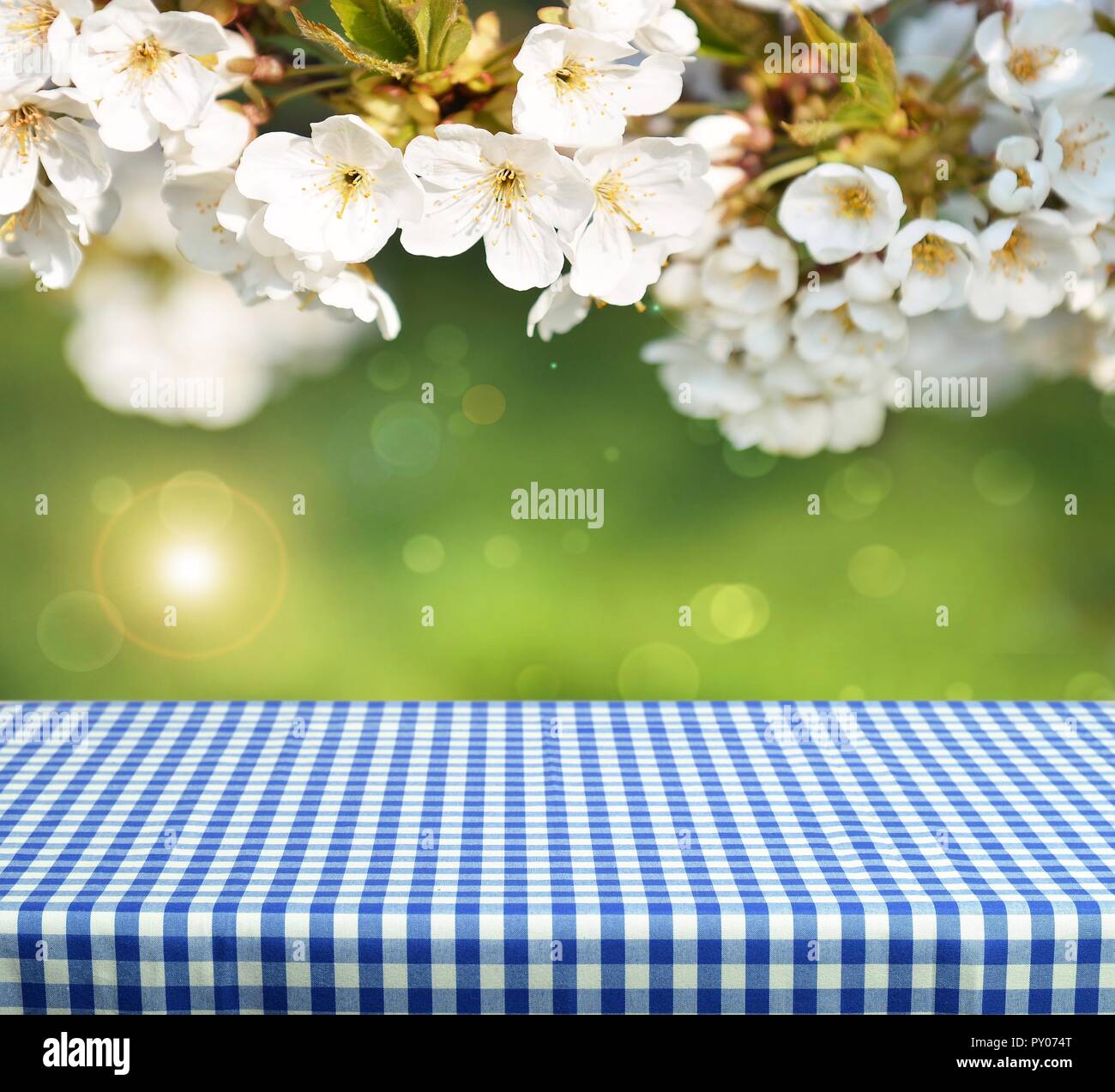 Checkered fence hi-res stock photography and images - Alamy