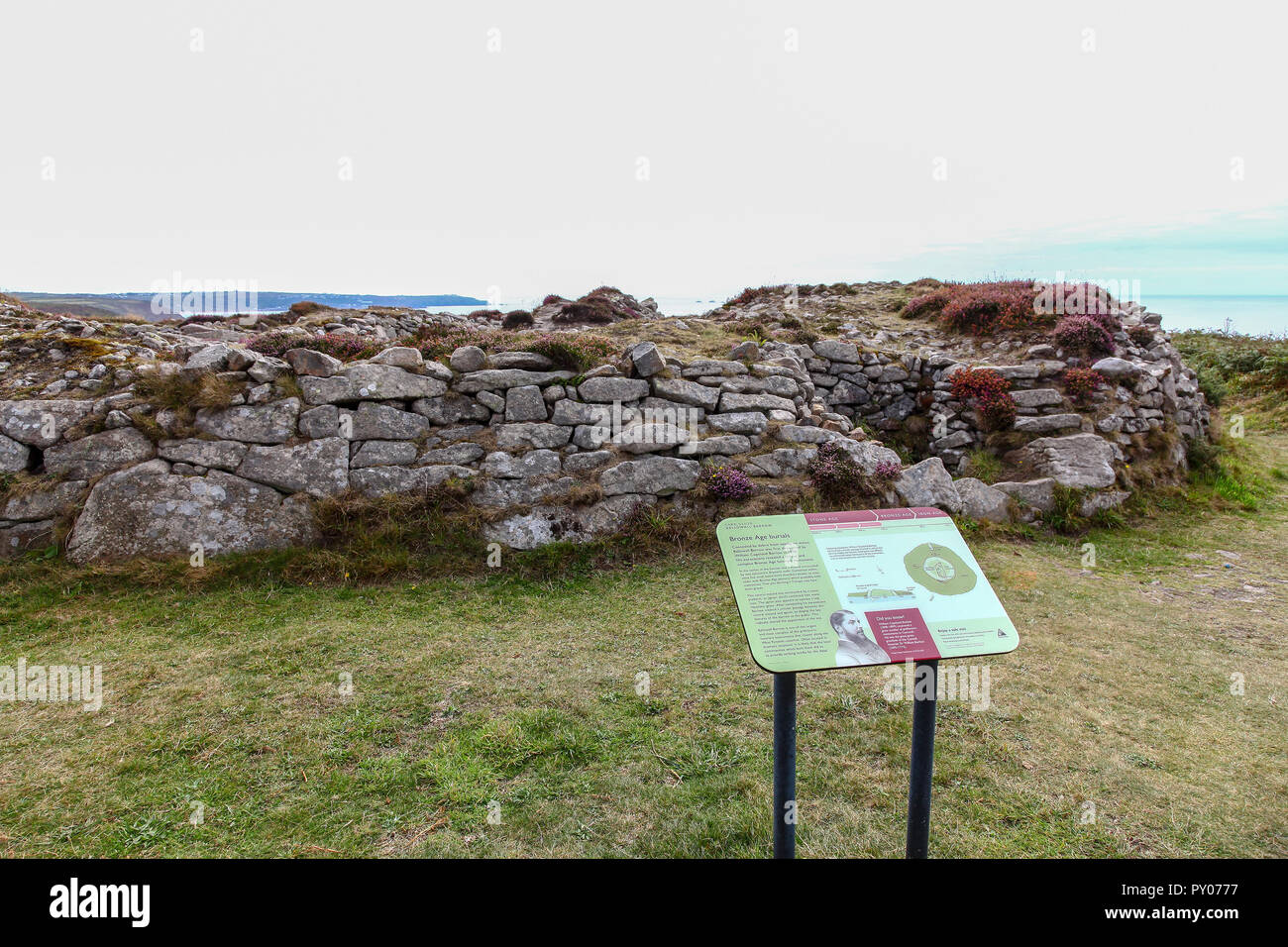 Gloose hi-res stock photography and images - Alamy