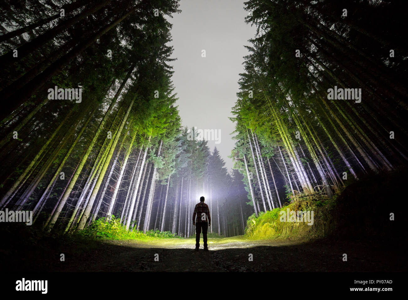 Wide angle shot, back view of athletic man with head flashlight ...