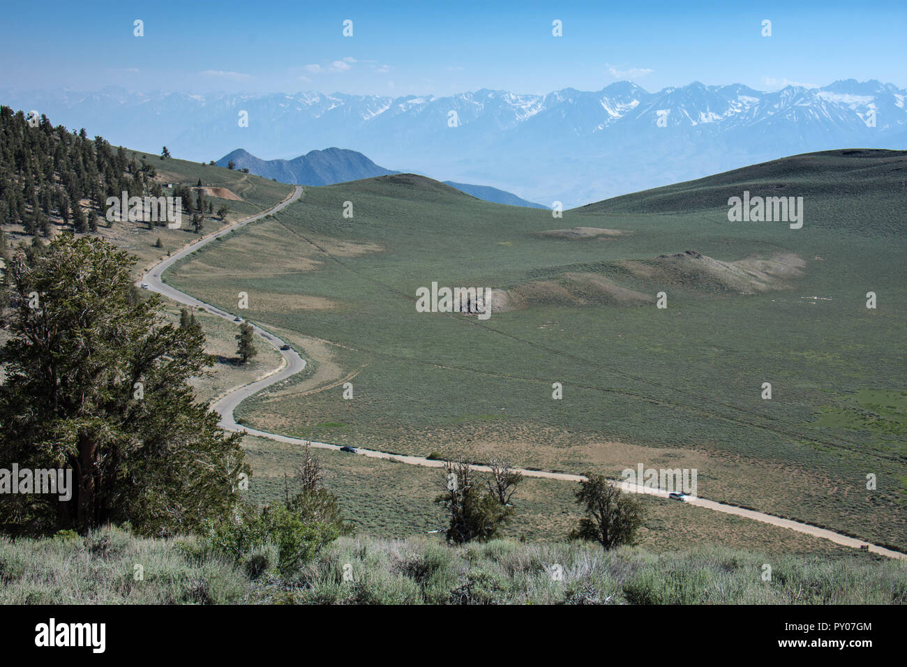 View of the White Mountains in Inyo National Forest in the Ancient ...