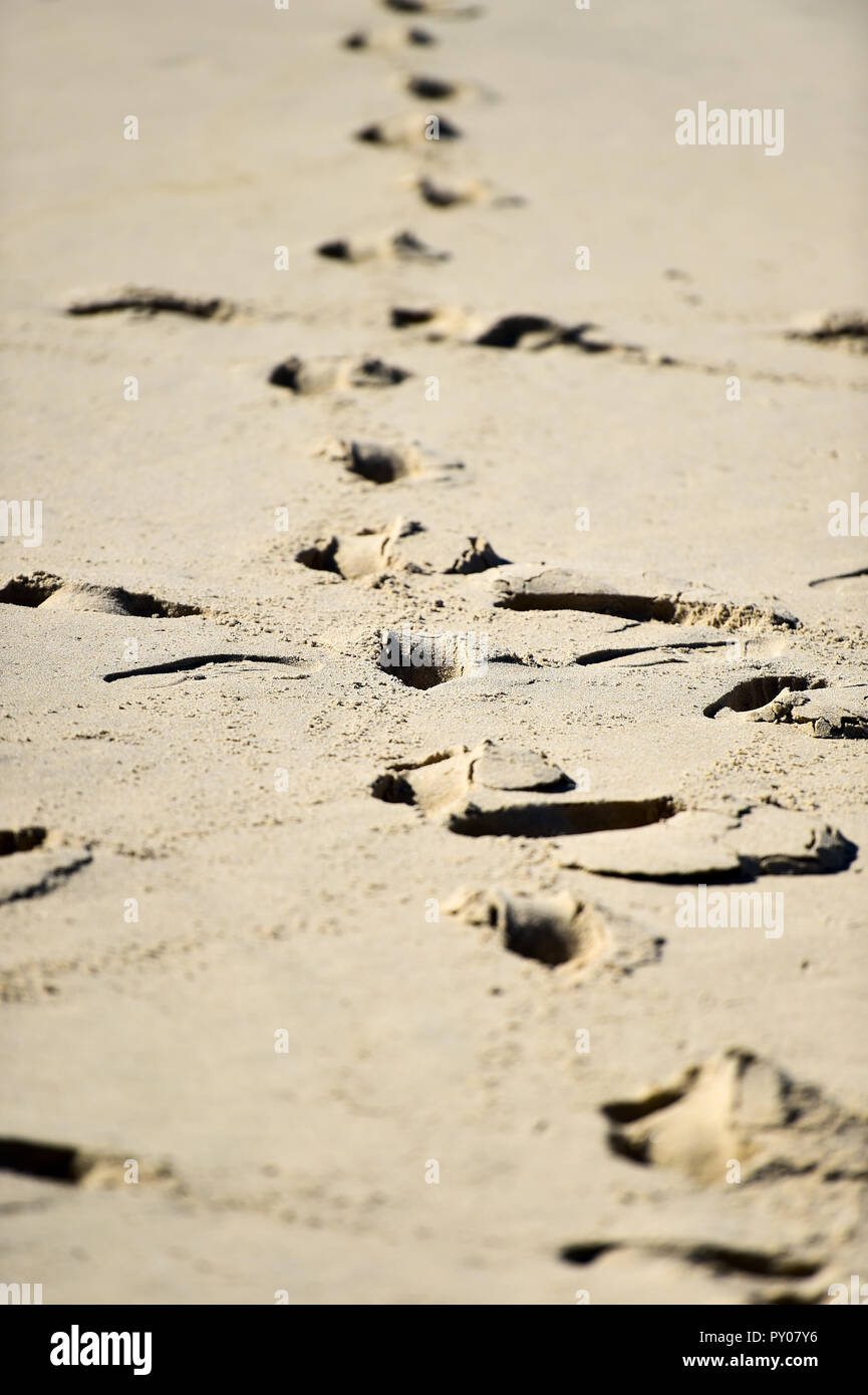 Detail shot with man footprints in the sand on a beach Stock Photo - Alamy