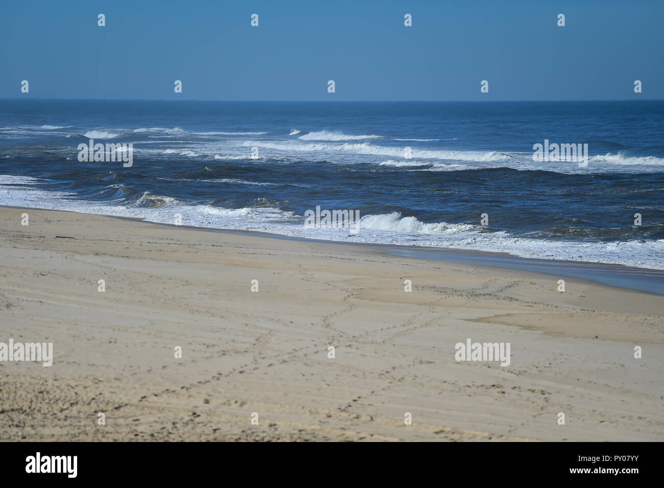 Sunny day scene at the beach on the shoreline of Atlantic Ocean Stock ...